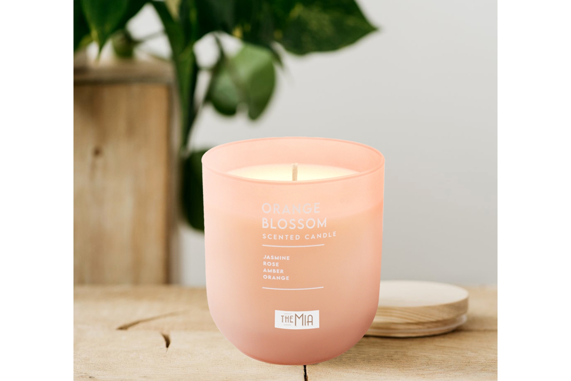 ENVY ORANGE BLOSSOM MUM, SOMON, 10X8 FİYATI - Vivense