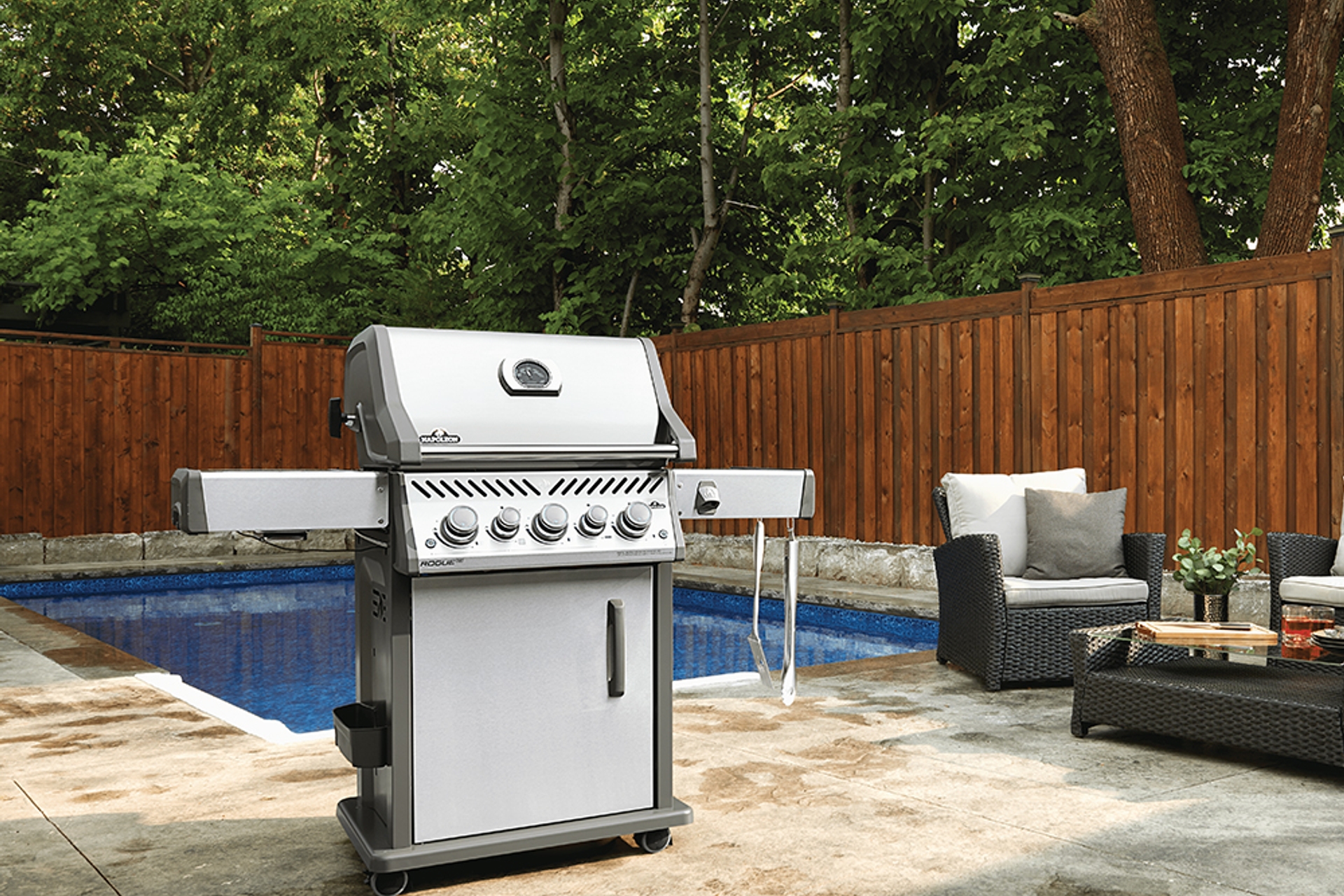 NAPOLEON ROGUE SE 425 RSIB GAZLI MANGAL FİYATI - Vivense