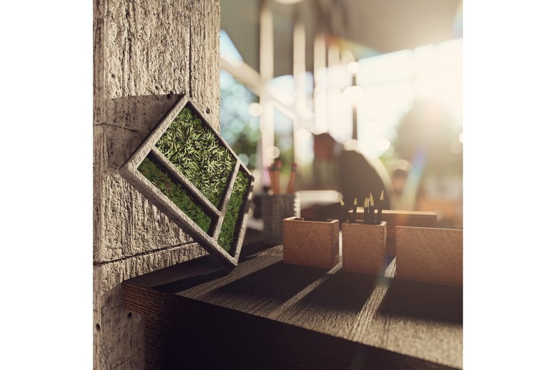 INTET BETON DUVAR BİTKİSİ VE DEKORU FİYATI - Vivense