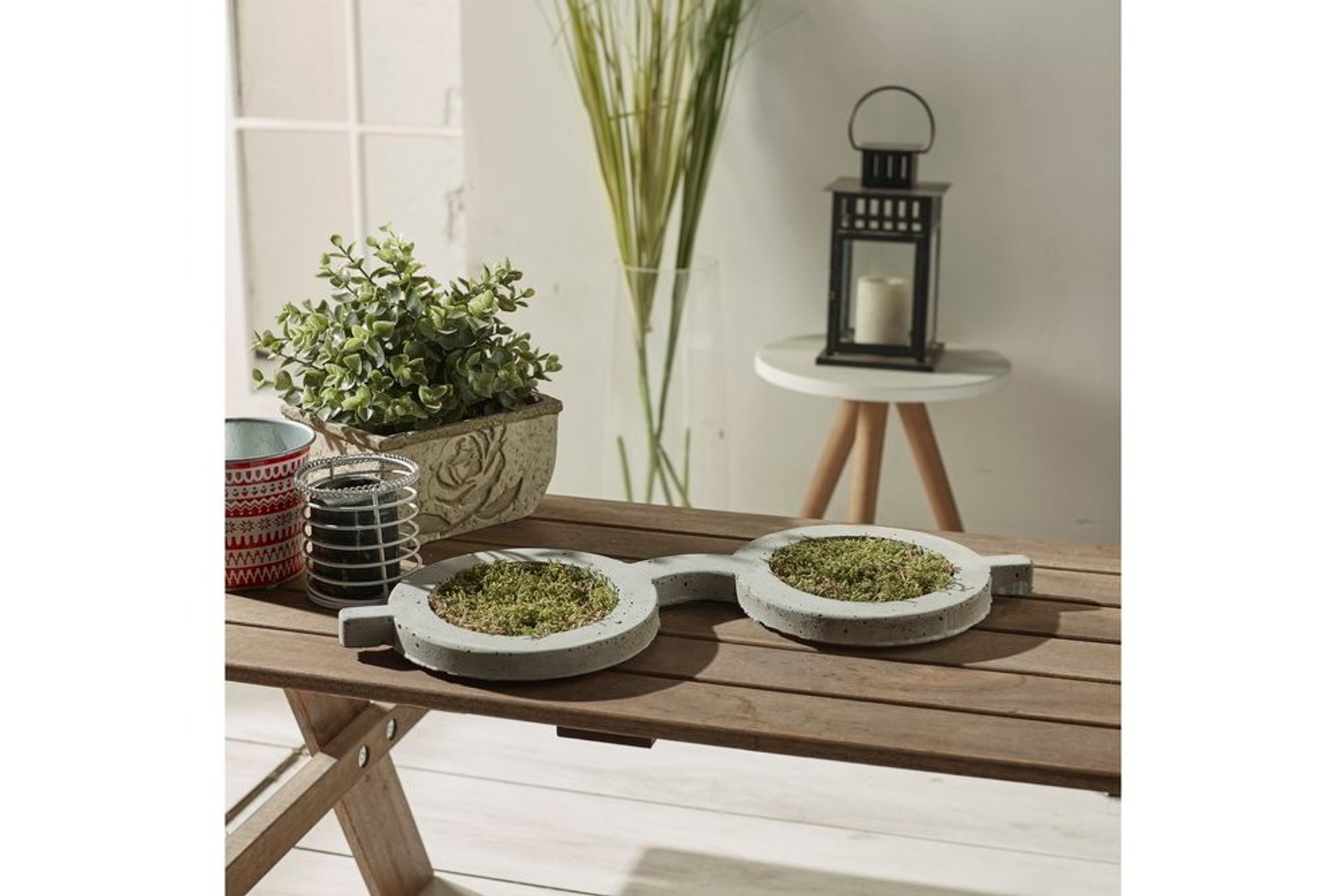 GLANS BETON DUVAR BİTKİSİ VE DEKORU FİYATI - Vivense