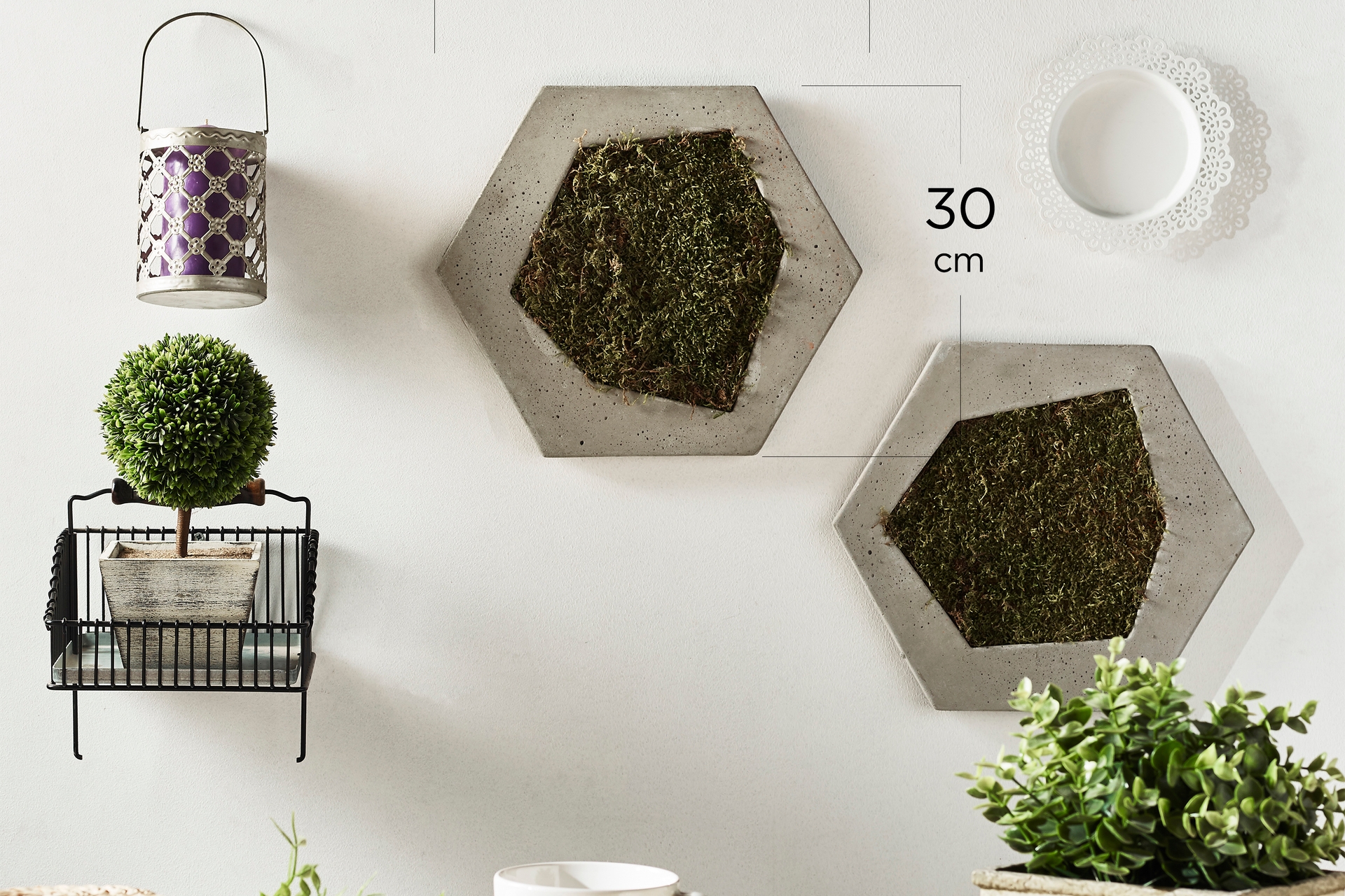 EQUİL BETON DUVAR BİTKİSİ VE DEKORU TEKLİ FİYATI - Vivense