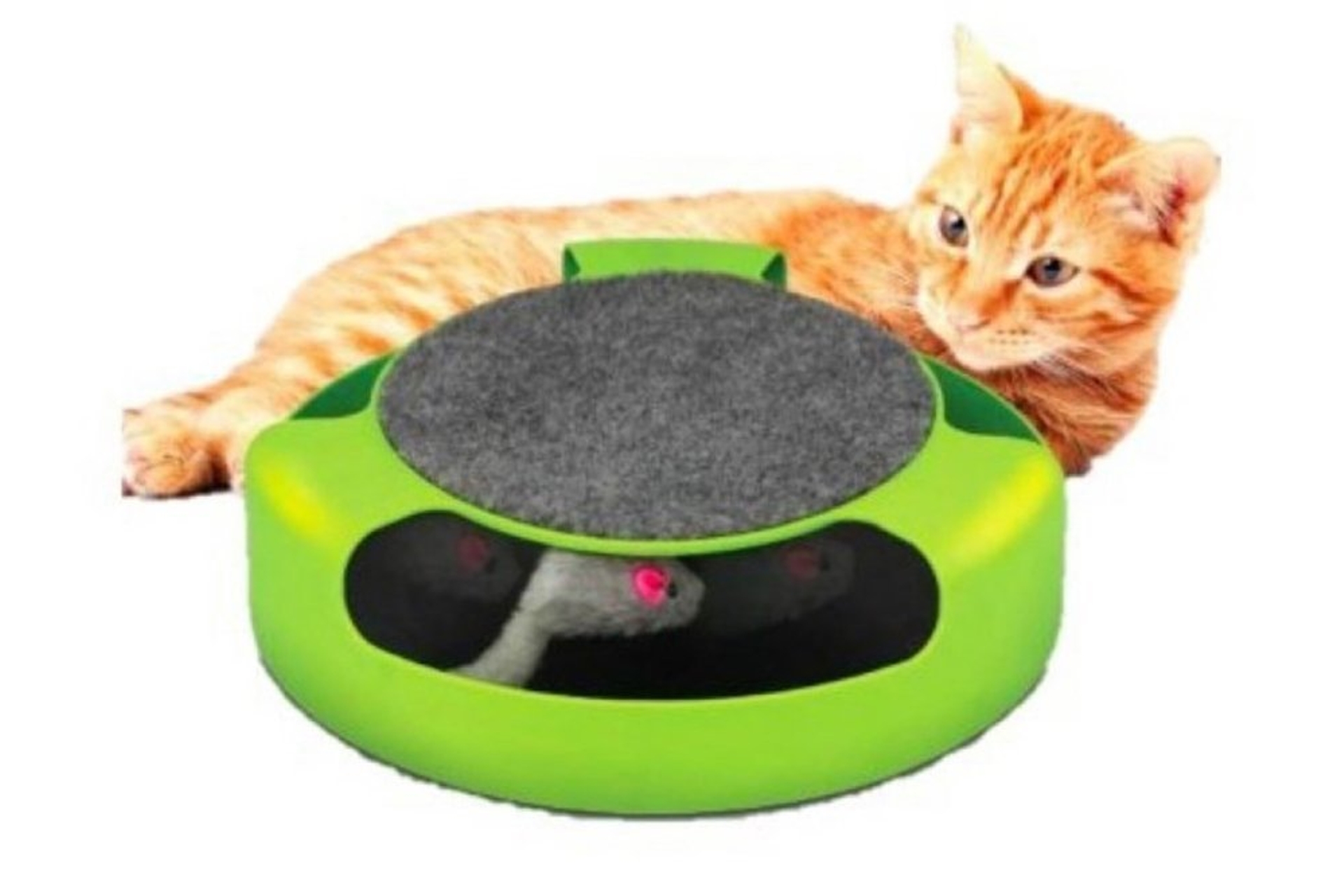 CATCH THE MOUSE KEDİ OYUNCAĞI