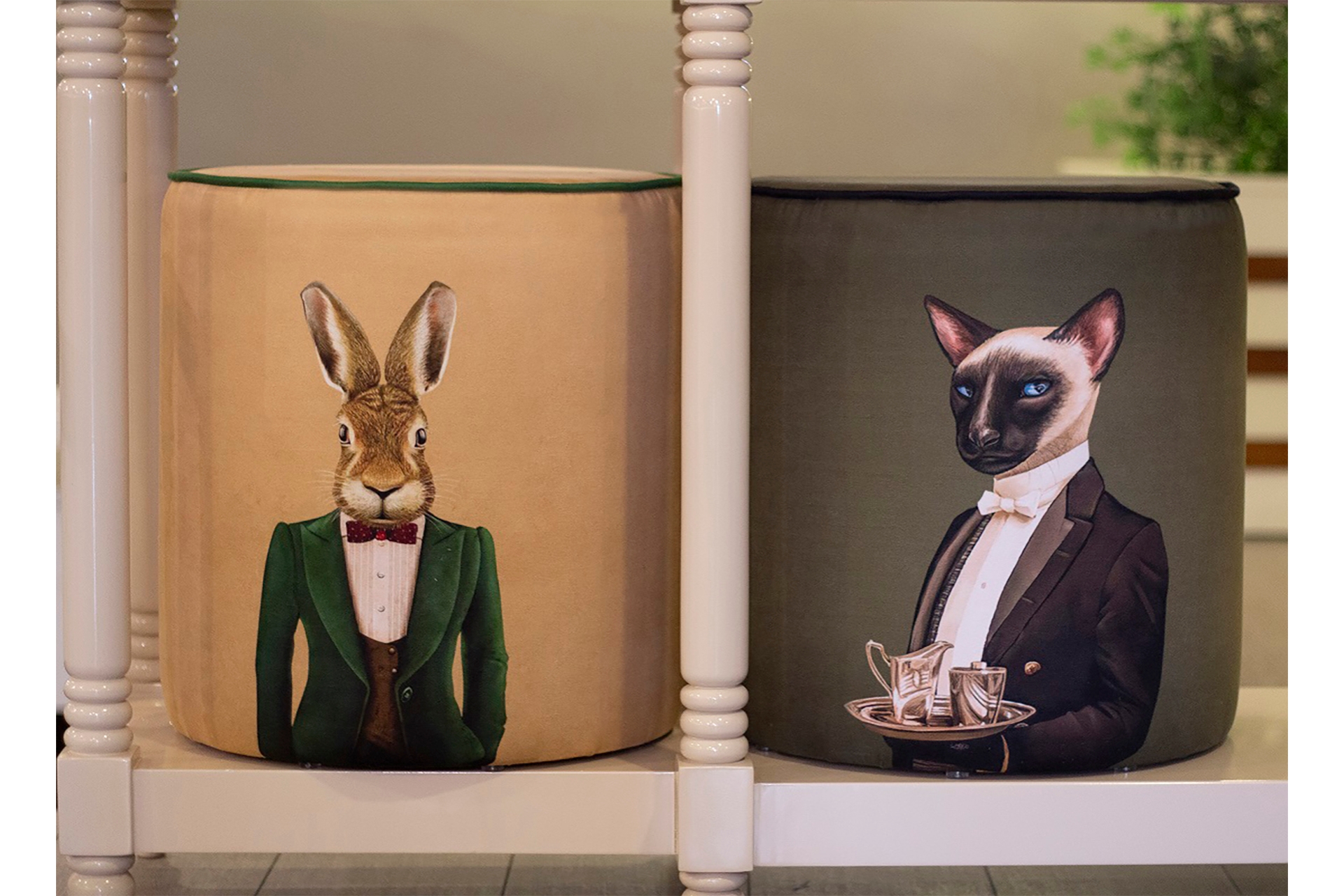 ADAWALL MR. CAT PUF FİYATI - Vivense