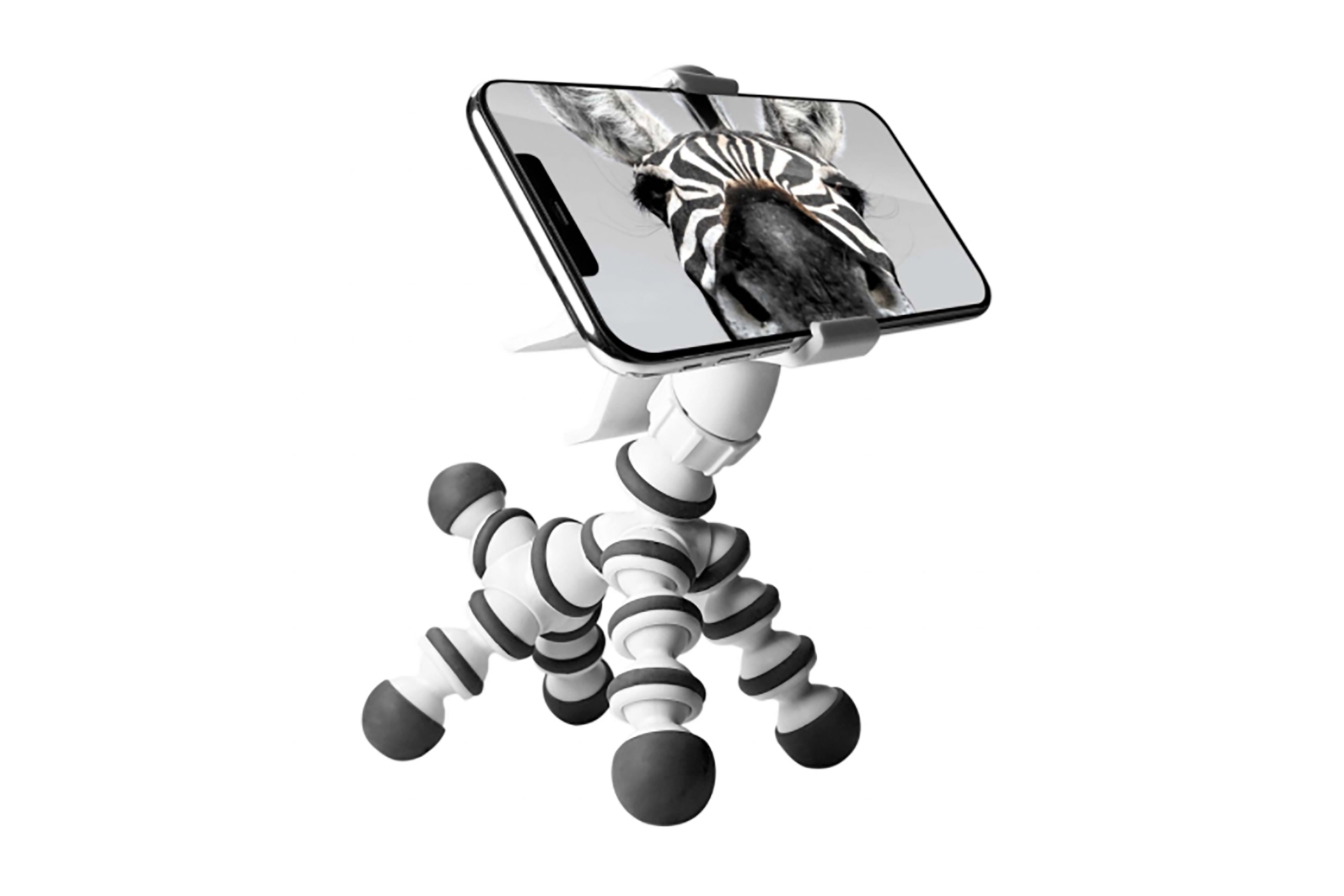 ZEBRA TELEFON TUTUCU FİYATI - Vivense