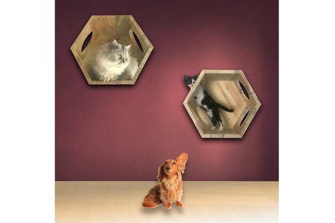 HEXAPLY PETEK OYUN RAFI FİYATI - Vivense