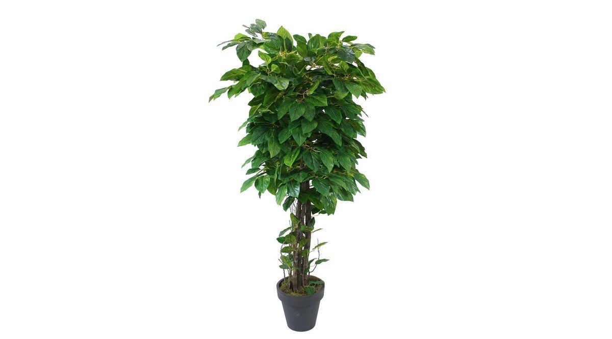 Endy Artificial Mango Tree | Vivense London